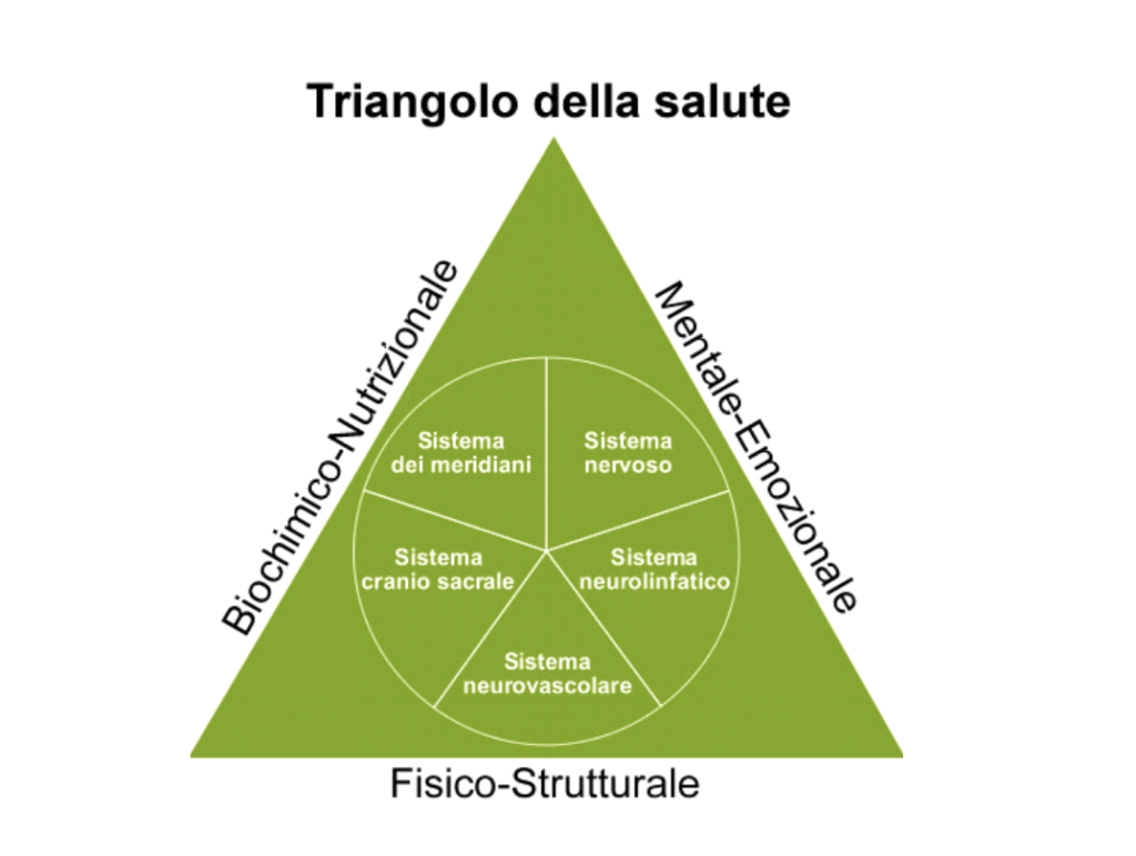 Il triangolo della salute - Luca Ottani | Osteopata D.O.m.R.o.i.